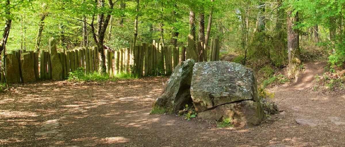 Le Tombeau de Merlin - Brocéliande - gps - | Brocéliande
